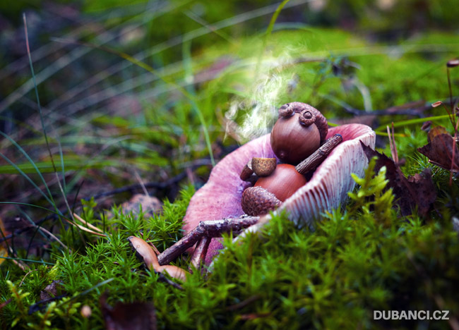 Dubánci z lesa na pohlednicích - Dubánci